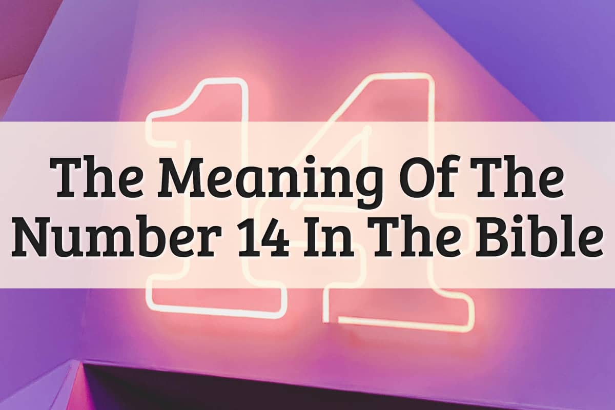 Voice of Dominion – Revealing Jesus, Restoring Dominion